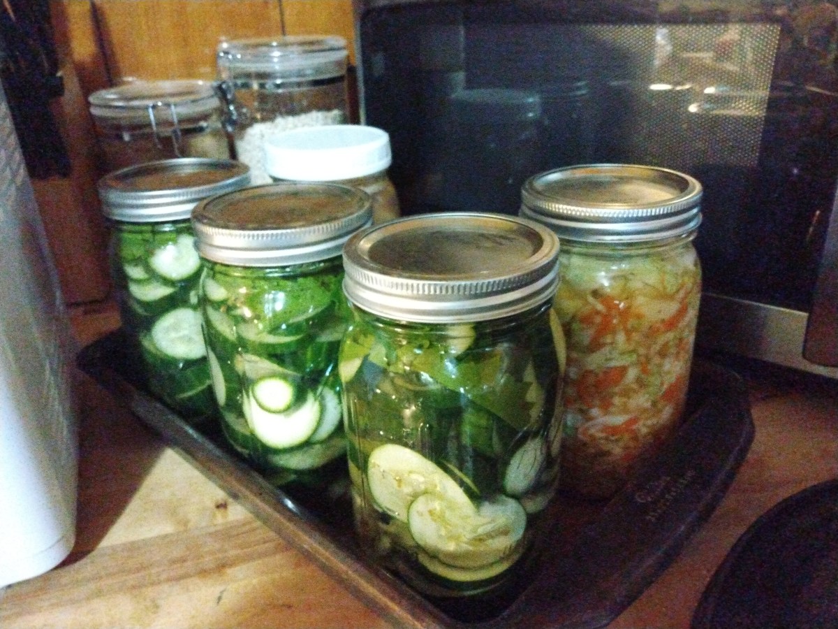 Fermentation Day! And a few updates – Wholly Holy Living